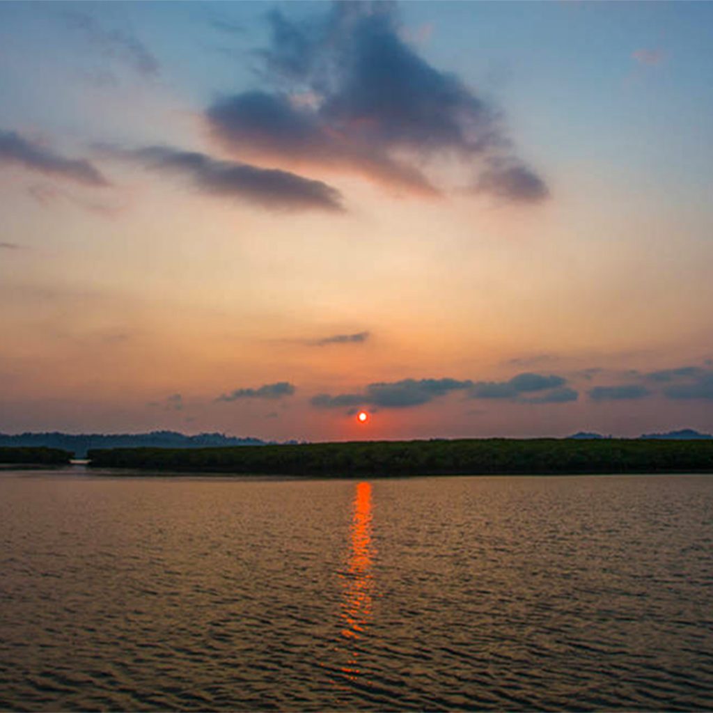 A Realm of Untouched Beauty : Baratang Islands